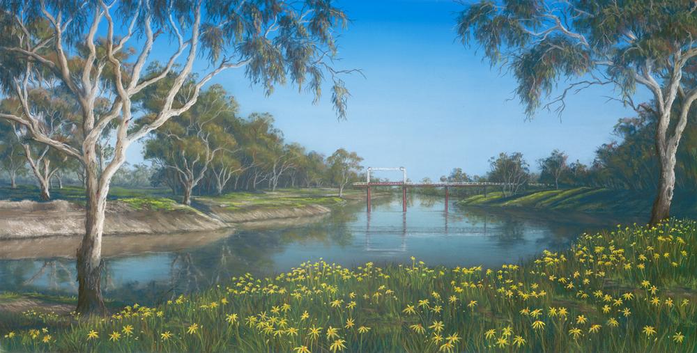 Daisies On The Darling - Back O Bourke Gallery