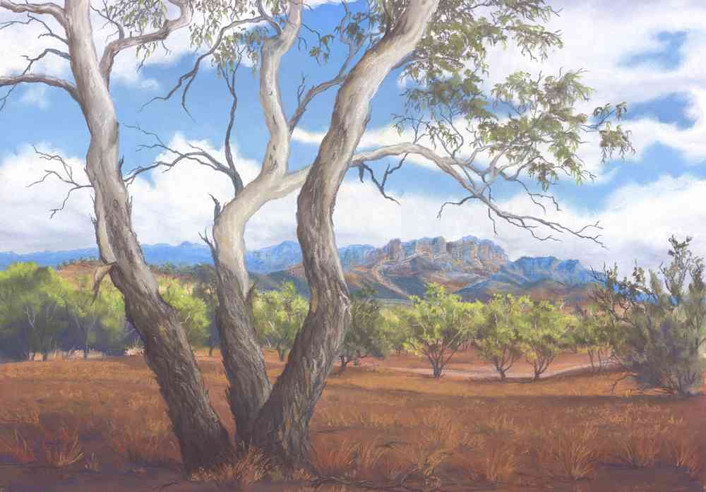 Australian Landscape Art – Flinders Elder Range - Back O' Bourke Gallery