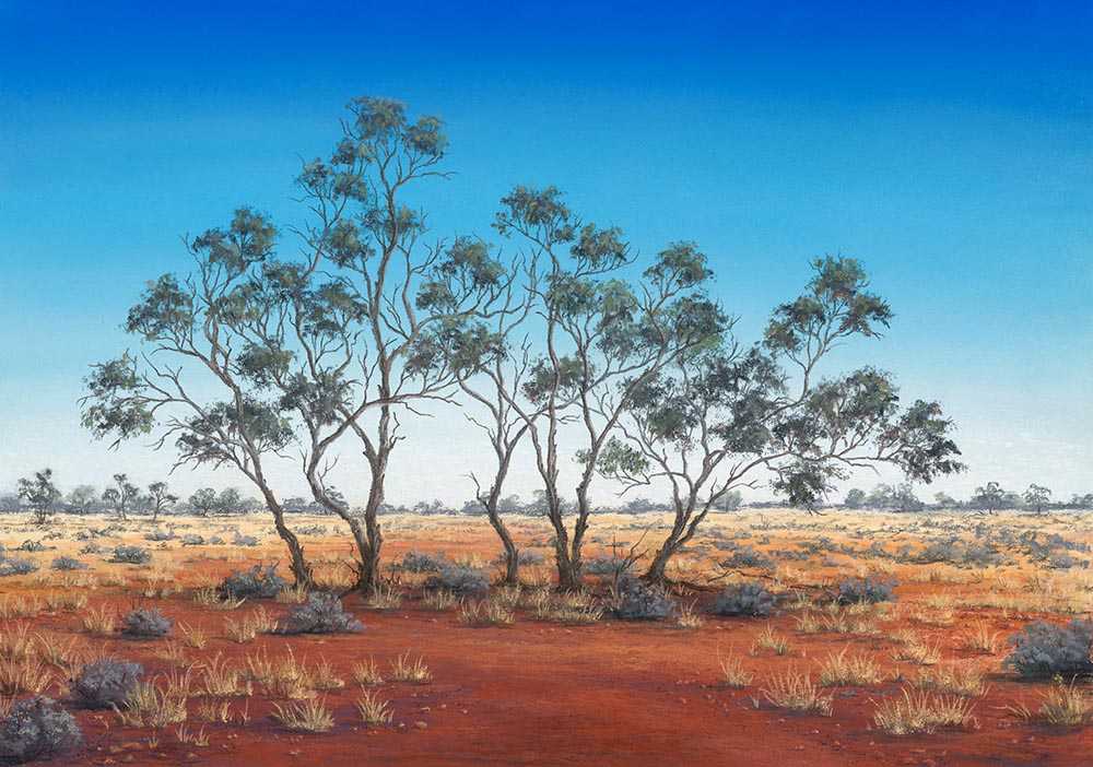 Australian Landscape Art – Mateship Country - Back O Bourke Gallery