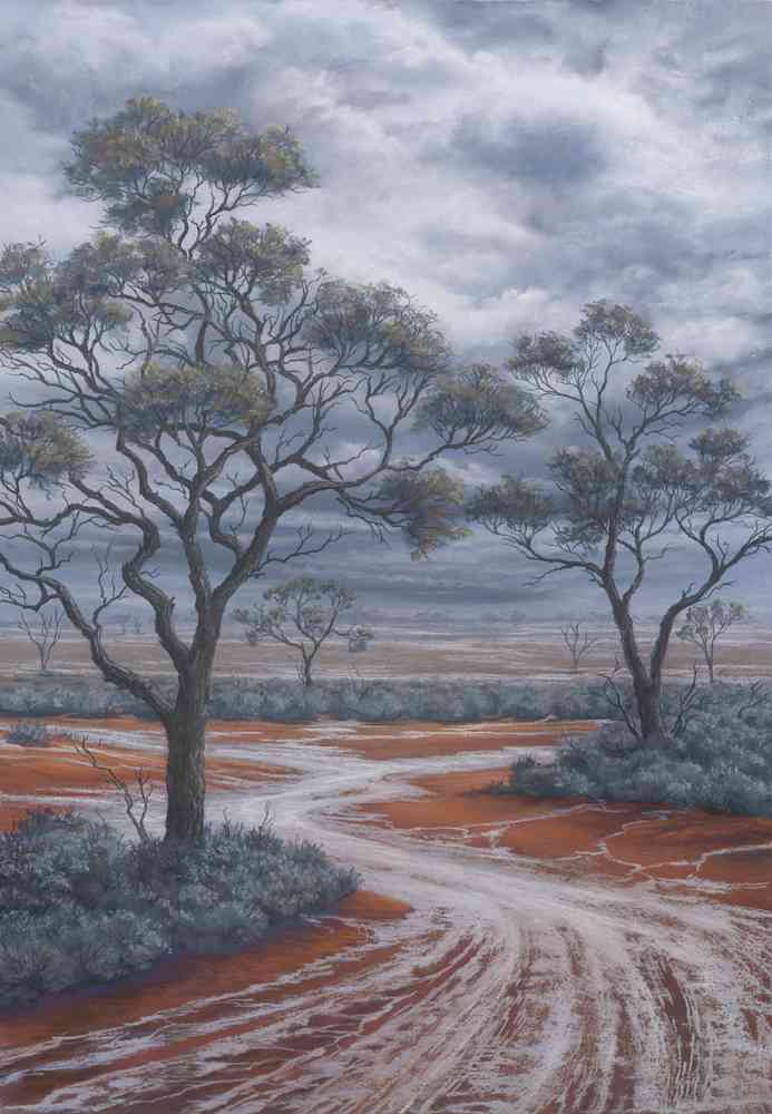 Australian Landscape Art – Outback Drenching - Back O Bourke Gallery