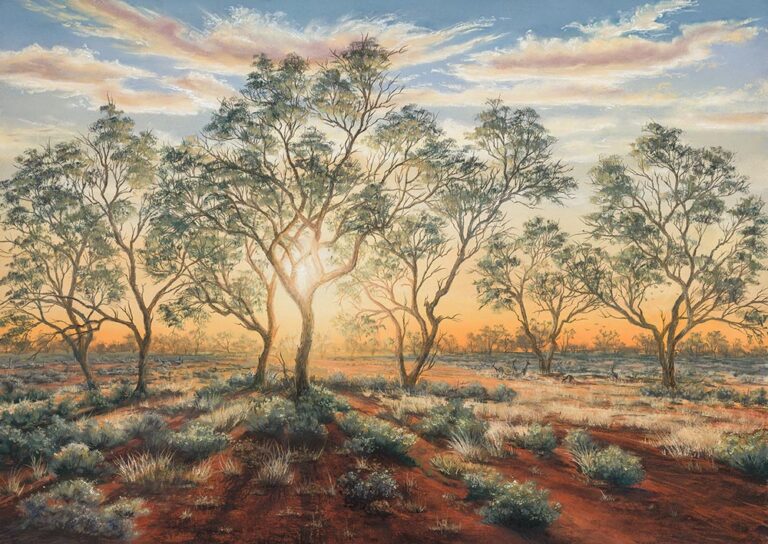 Jigsaw Puzzle - 1000 Piece "The Outback Shines" - Back O Bourke Gallery