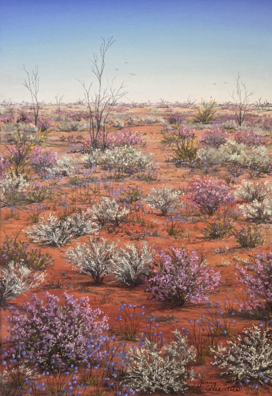 Sand Sage and Firebush with Native Blue Cornflowers - Back O Bourke Gallery