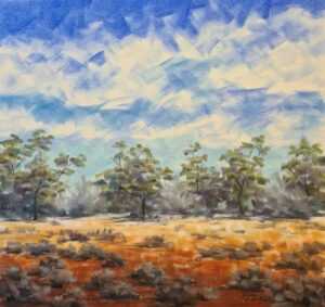 Outback Impression - Back O Bourke Gallery